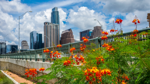 Austin Family Magazine - Smart Parenting - Healthy Homes