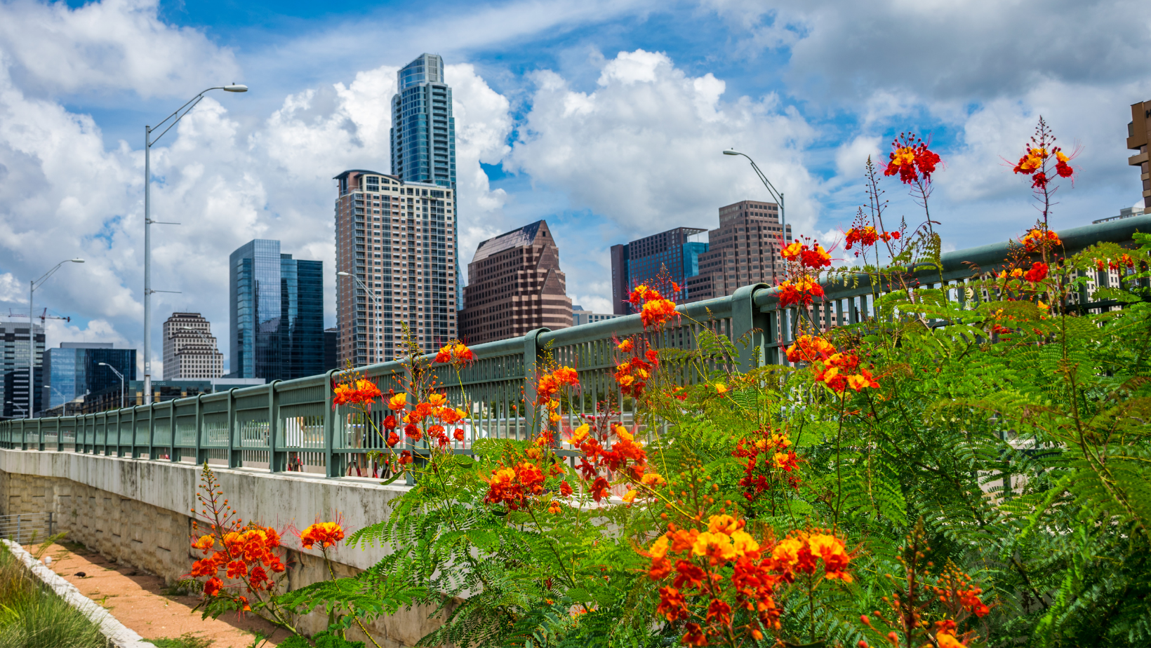 Keep Austin Beautiful Day | Austin Family Magazine